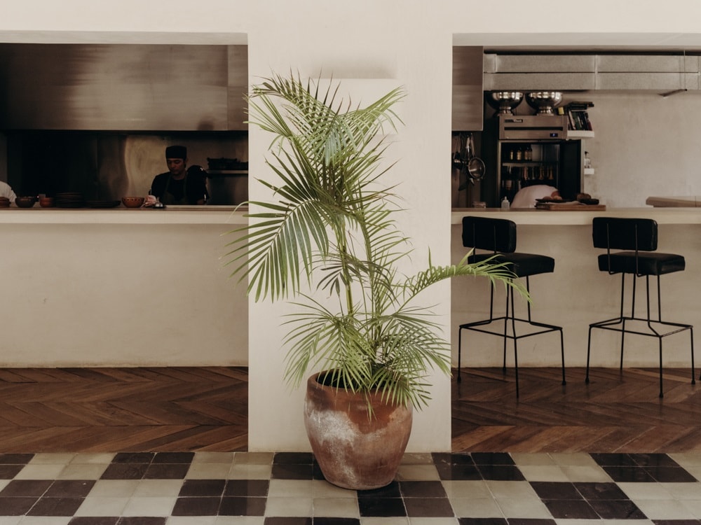 Casa Pueblo Tulum: Tropical Bohemianism x Urban Minimalism - Travel ...