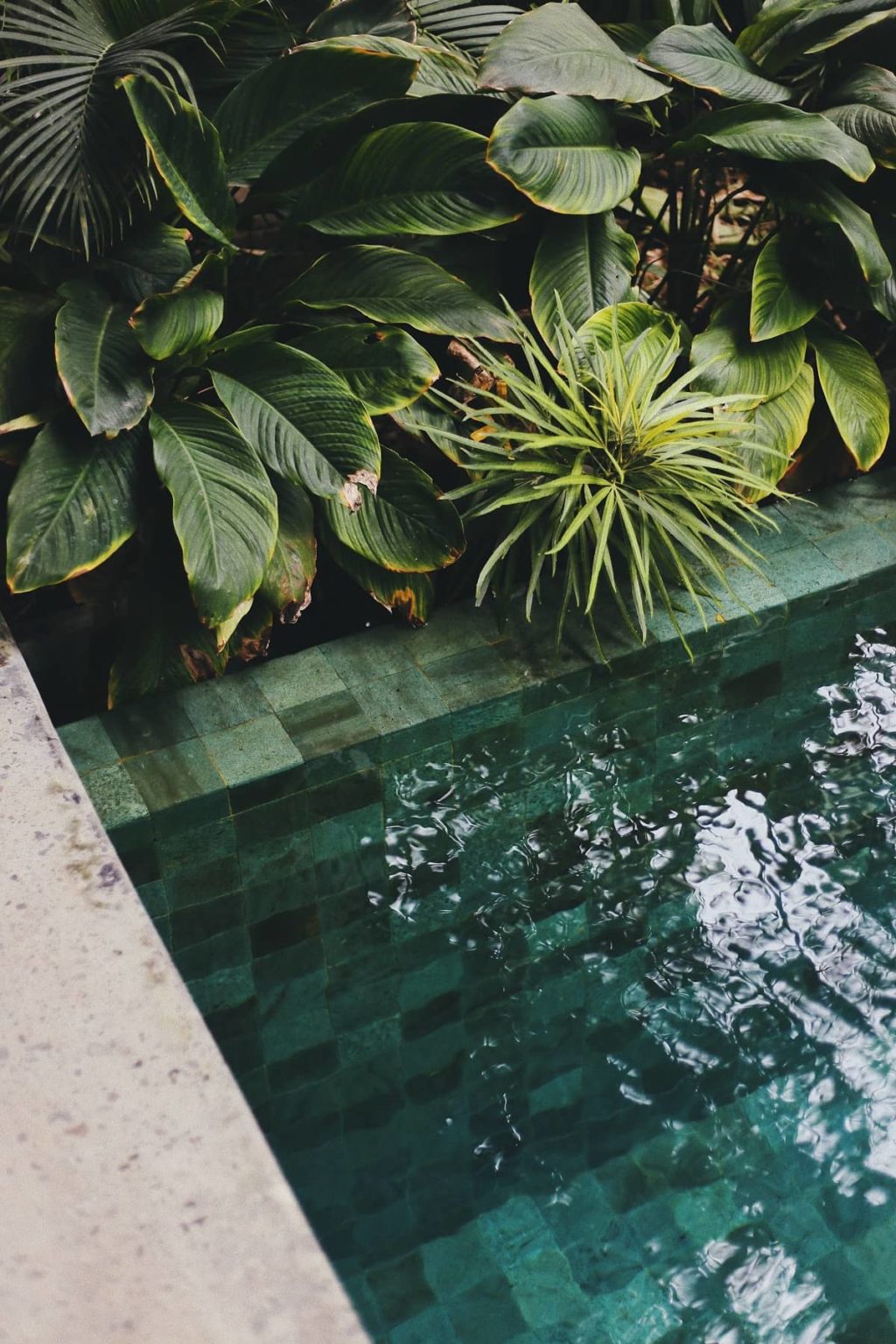 The Slow Hotel in Canggu, Bali - Travel - Design. / Visual.