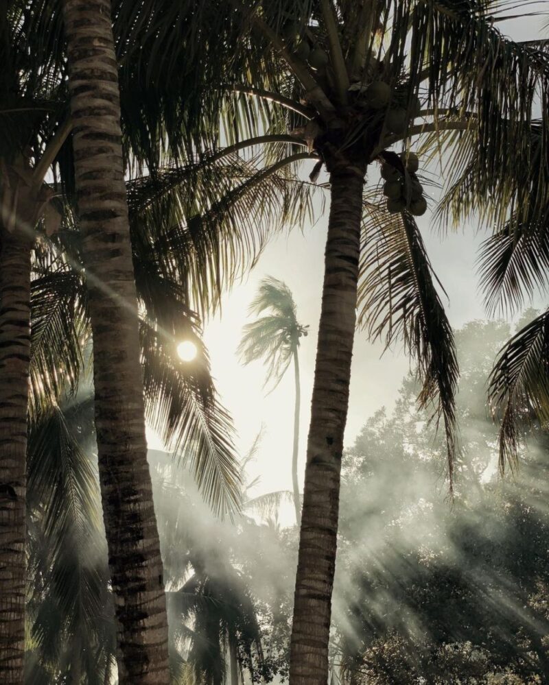 Unna Eco-Resort in Puro Island by Vianca Soleil - Hotels & Resorts ...